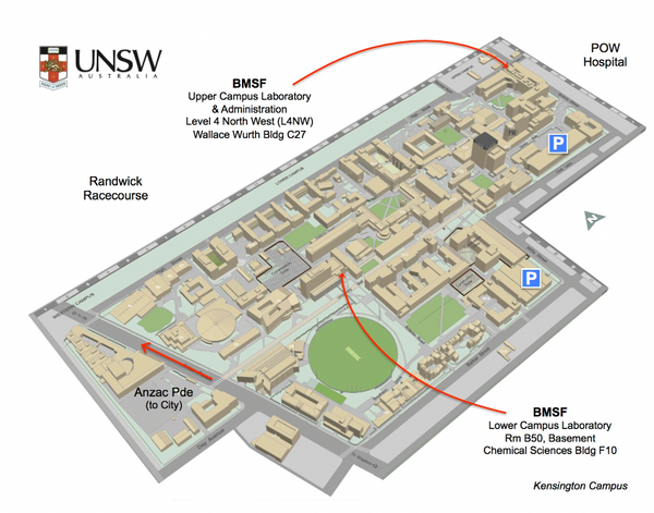 What Are The Best Universities in Sydney – UNSW vs USYD vs UTS Comparison - Rankings, Campus ...